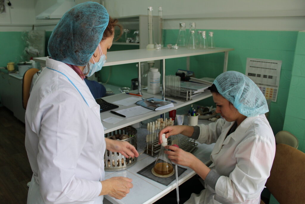 Veteriner laboratuvarı ФГБУ Федеральный центр охраны здоровья животных, Irkutsk, foto