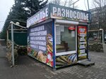 Разносолье (Kulakova Avenue No:20), market  Kursk'tan