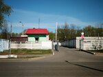 Garazhno-Stroitelny Potrebitelsky Kooperativ № 7 Tsentralnogo rayona (Alimpijskaja vulica No:5А), garajlar  Gomel'den