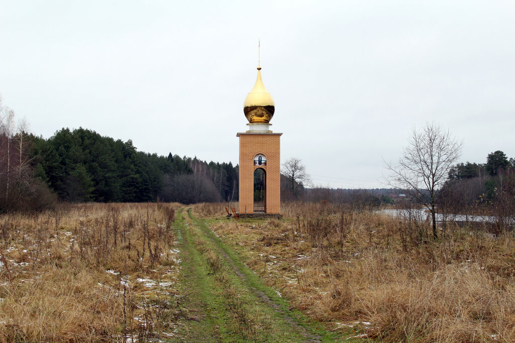Ortodoks kiliseleri Часовня иконы Пресвятой Богородицы Всех скорбящих Радость, Tverskaya oblastı, foto