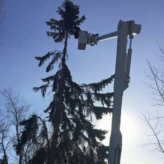 Bahçe ekipmanları ve teknolojileri Beaver Creek Tree Service, Kuzey Dakota Eyaleti, foto