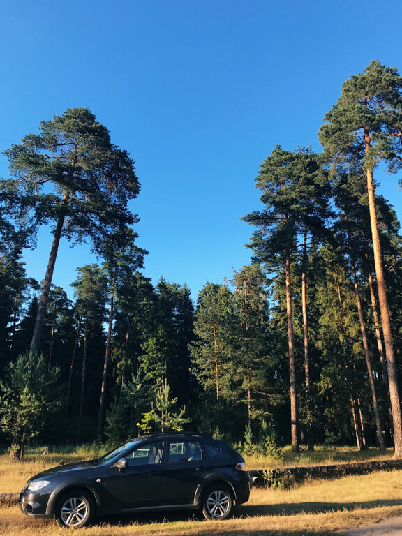 Otopark alanı Парковка у озера ММР, Moskova ve Moskovskaya oblastı, foto