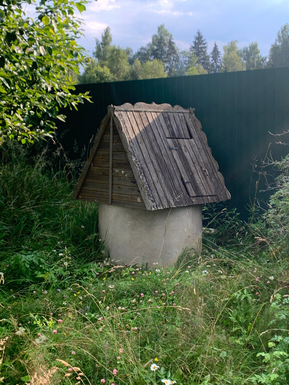 Kuyu Общественный колодец, Moskova ve Moskovskaya oblastı, foto