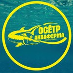 AquaFarm Osetr (No:62, selskiy posyolok Kultura), balık çiftçiliği ve toptancıları  Nijegorodskaya oblastından
