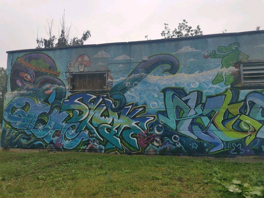 STENOGRAFFIA Осьминог, Yekaterinburg, foto