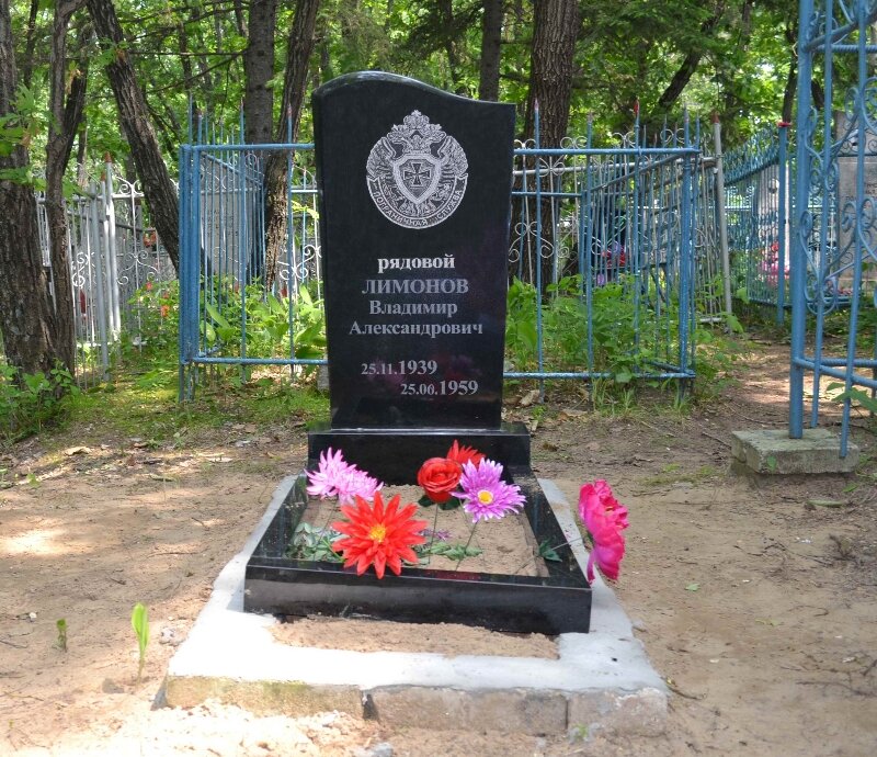 Anıt, heykel Могила Лимонова Владимира Александровича, Yahudi Özerk Bölgesi, foto