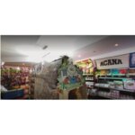 Toelettatura 007er (Piedmont, Provincia di Biella, Via Eugenio Bona, 12), petshop  Biella'dan