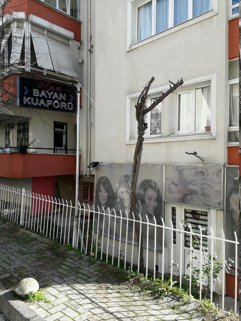 Kuaförler Nez Bayan Kuaförü, İstanbul, foto