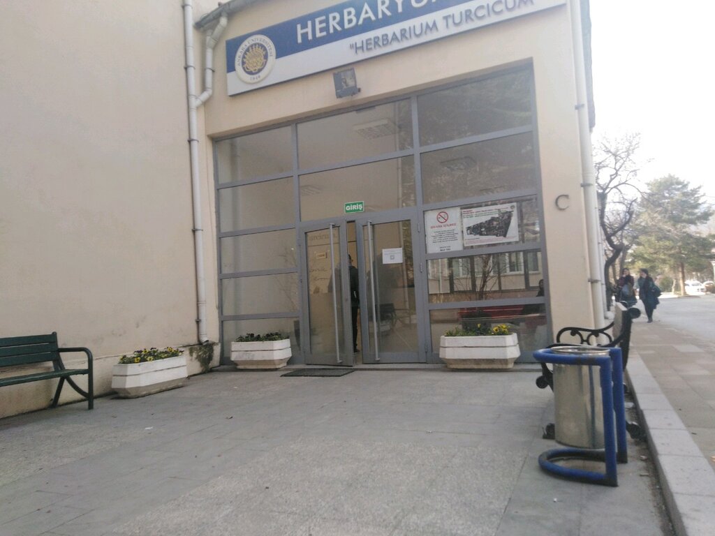 Bahçe Ankara Üniversitesi Herbaryum C Blok, Ankara, foto