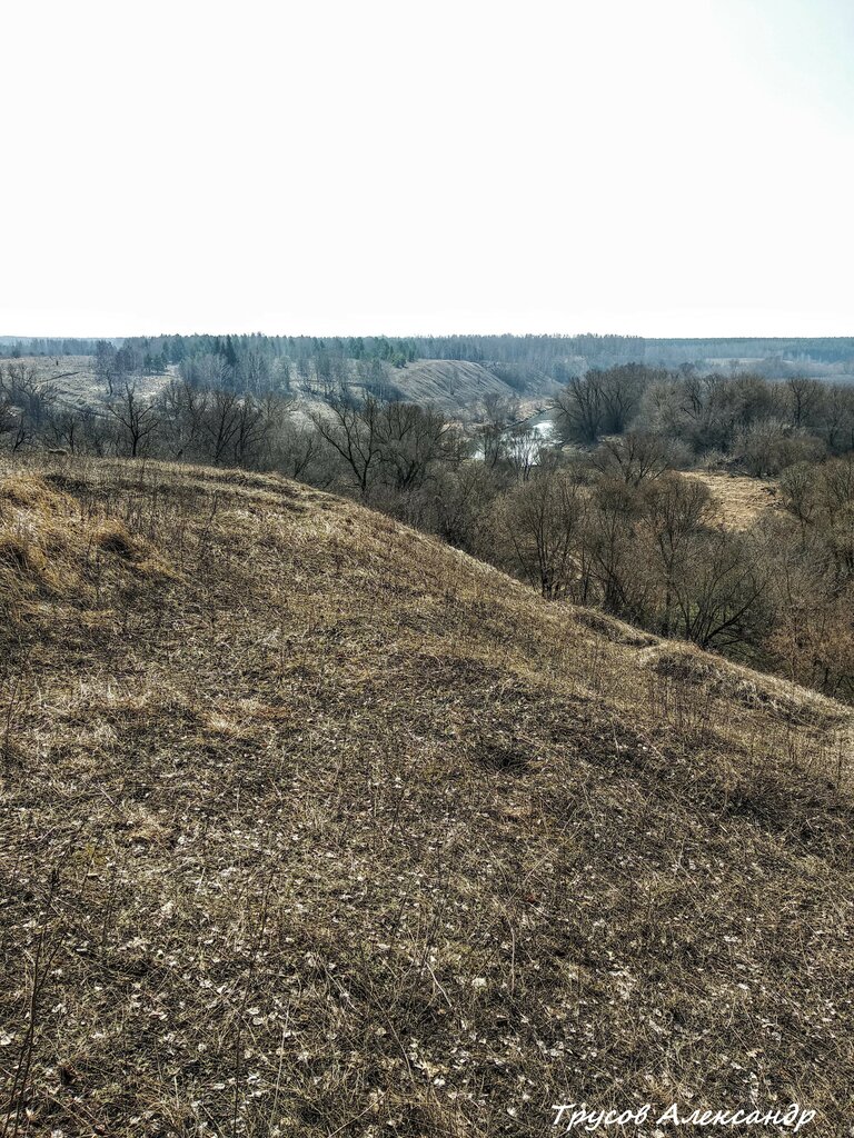 Turistik yerler Городище Торкуновка, Orlovskaya oblastı, foto