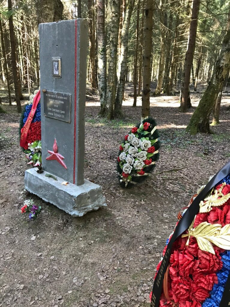 Anıt, heykel Обелиск на месте гибели лётчика К.Н. Титенкова, Moskova ve Moskovskaya oblastı, foto