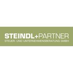 Steindl Steuerberatung GmbH (Römerstraße No:48, Attnang-Puchheim), mali müşavir  Yukarı Avusturya'dan