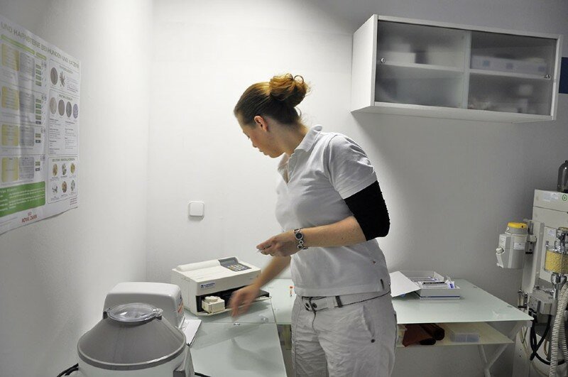 Veteriner klinikleri Tierarztpraxis St. Isidor Mag Michaela Kralka, Linz, foto