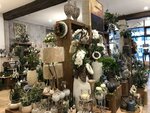 Blumenhaus Knagge (Lower Saxony, Vechta, Falkenrotter Straße, 1), çiçek teslimatı  Aşağı Saksonya'dan