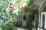 U Miroslava Guest House (Таврическая улица No:31), otel  Sudak'tan