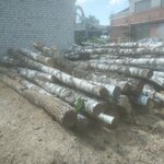 Автокарри (ulitsa Mekhanizatorov No:34/17, rabochiy posyolok Klimovo), ahşap endüstrisi  Brianskaya oblastından