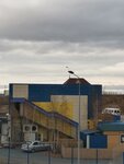 Мини-Смак (ulitsa Zoi Kosmodemyanskoy No:71А), market  Salehard'dan