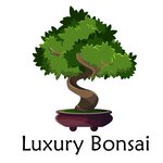 LuxuryBonsai (Pokryshkina Street No:4), çiçekçiler  Moskova'dan