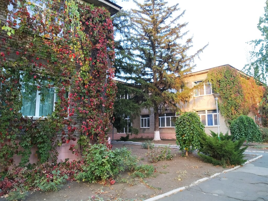 Anaokulları Yasli-sad Romashka Novosvetskogo poselkovogo soveta, Donetsk Bölgesi, foto