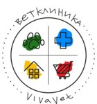 VivaVet (Pirogova Lane No:14), veteriner klinikleri  Saint‑Petersburg'dan