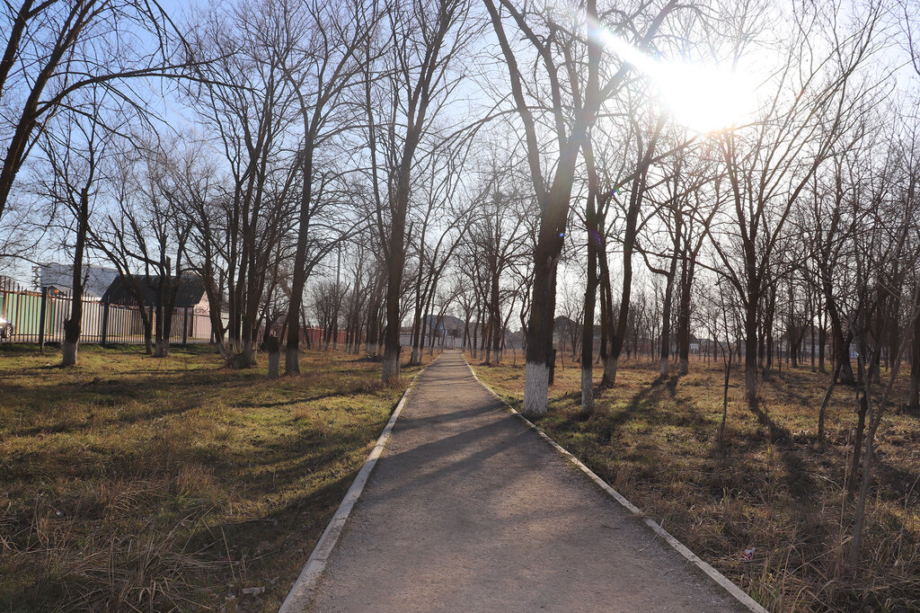 Kültür ve eğlence parkları Парк Культуры и Отдыха им. М. Малогусейнова, Yuzhno‑Sukhokumsk, foto