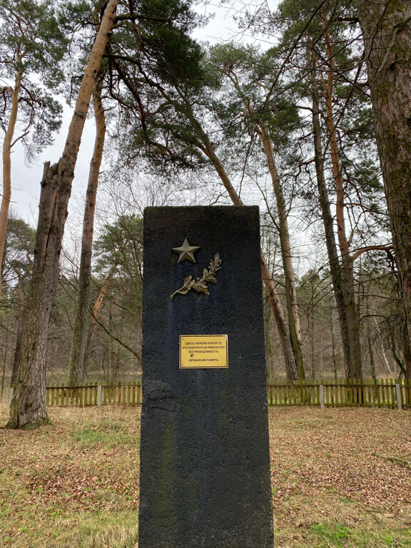 Anıt, heykel Братская могила борцов за равенство и справедливость, Yuhnov, foto