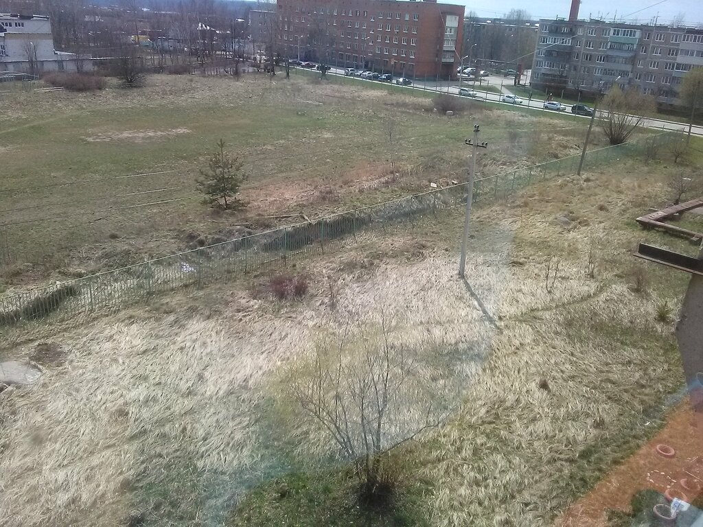 Spor alanı Футбольное поле, Moskova ve Moskovskaya oblastı, foto