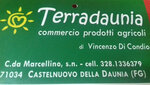 Terradaunia (Apulia, Foggia, Castelnuovo Della Daunia), tarım ürünleri firmaları  Puglia'dan