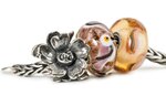 Gioielleria Tagliante Rivenditore Trollbeads (Piedmont, Torino, Corso Brescia, 21), saatçiler  Torino'dan