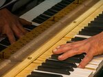 Klavierbau Herbst, Meisterwerkstatt für Klavierbau (Walfischgasse No:24, Blaustein), müzik enstrumanların tamiri  Ulm'dan