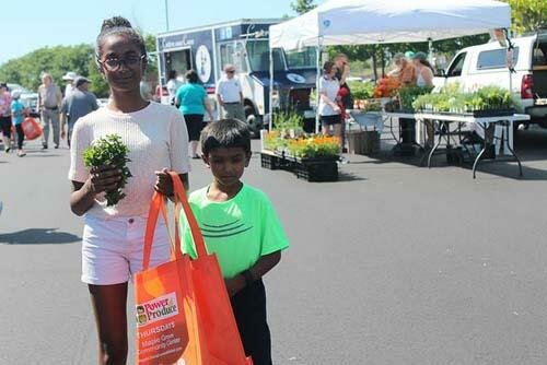 Kültür ve eğlence parkları Maple Grove Farmers Market, Minnesota Eyaleti, foto