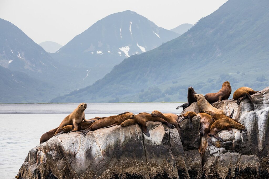 Otel Mestechko Kamchatka, Kamçatski krayı, foto