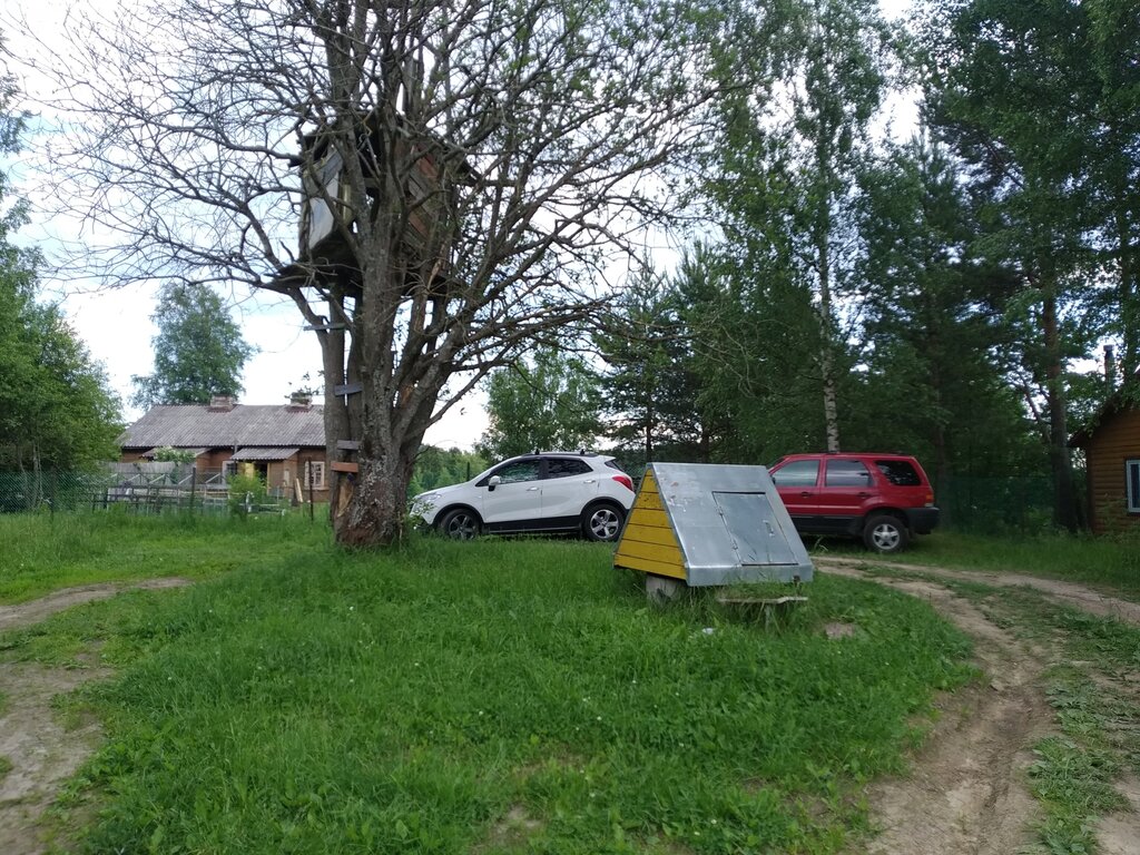 Kuyu Well, Saint‑Petersburg ve Leningradskaya oblastı, foto