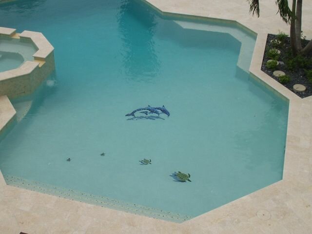 Yüzme havuzları Agua Vida Services Inc, Vero Beach, foto