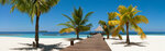 Aubora Vacation Reisebüro GmbH (Renngasse No:2, Kottingbrunn), turizm acenteleri  Aşağı Avusturya'dan