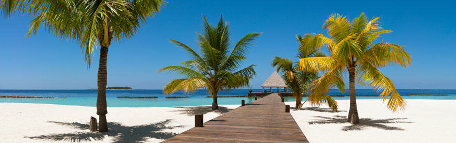 Turizm acenteleri Aubora Vacation Reisebüro GmbH, Aşağı Avusturya, foto