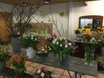Blumen etc (Bern, Schwarzenburg, Bernstrasse, 19), çiçek teslimatı  Bern'den