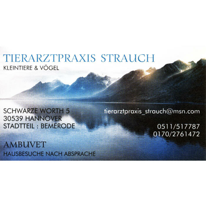 Veteriner klinikleri Tierarztpraxis Strauch, Hanover, foto