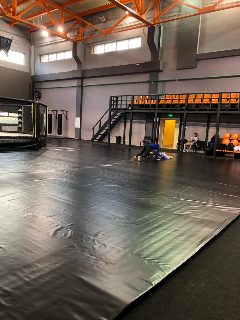 Spor kulüpleri CheckMat Academy Bjj, Moskova, foto