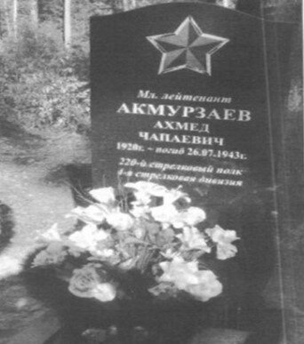 Anıt, heykel Братская могила, Kalujskaya oblastı, foto