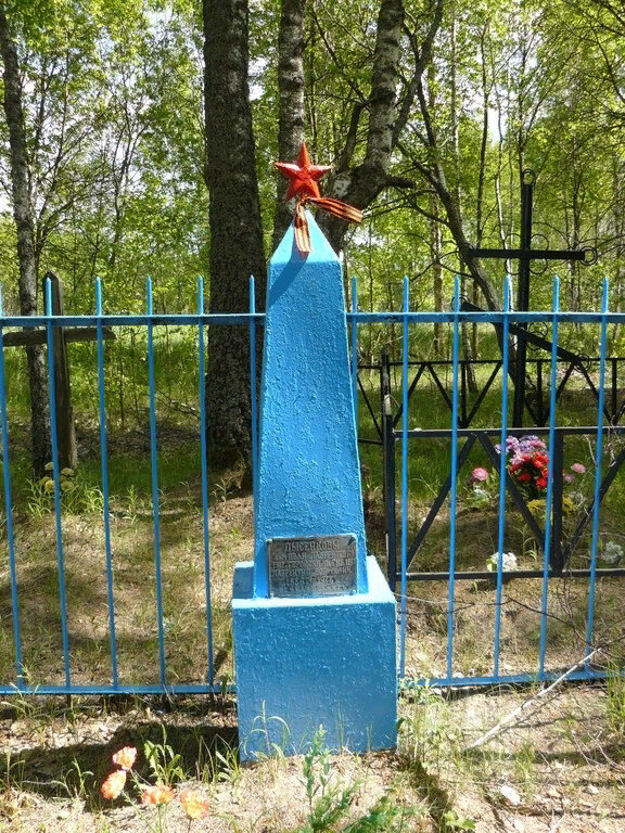 Ünlü kişilerin mezarları Рядовой, партизан Лысенков Иван Лаврентьевич, погиб в 1943 г., Brianskaya oblastı, foto