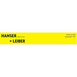 Hanser + Leiber GmbH & Co. Kg (Neutorstraße No:31, Blaustein), i̇kinci el araç  Ulm'dan