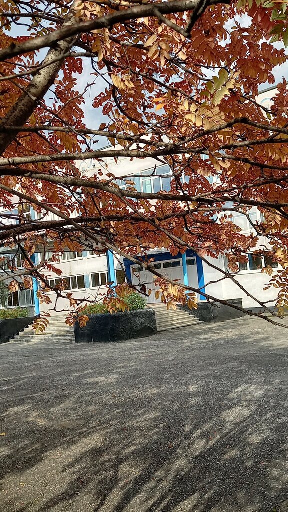 Fen lisesi, sosyal bilimler lisesi Mbou Gimnaziya № 32, Novokuznetsk, foto
