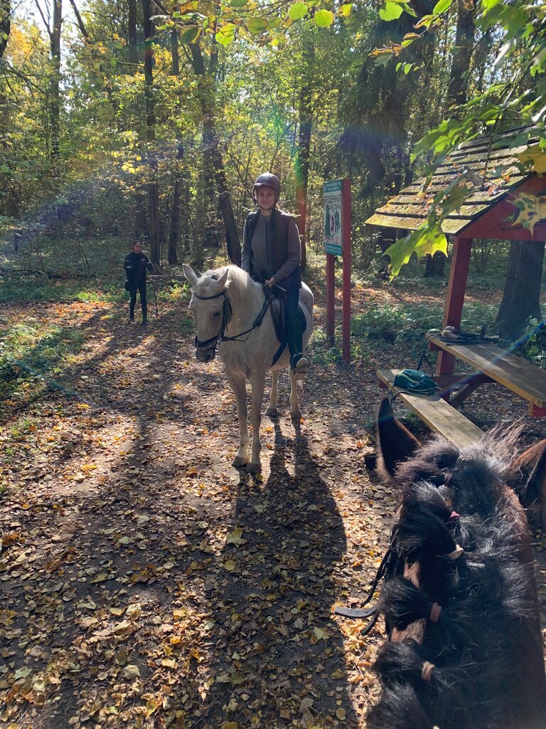 At ve binicilik kulüpleri Конно-спортивный клуб Кентавр, Moskova ve Moskovskaya oblastı, foto