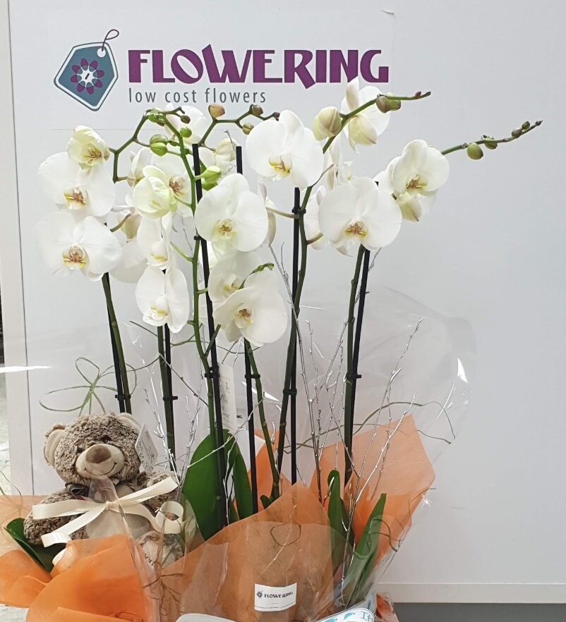 Çiçek teslimatı Flowering Hortaleza, Madrid, foto