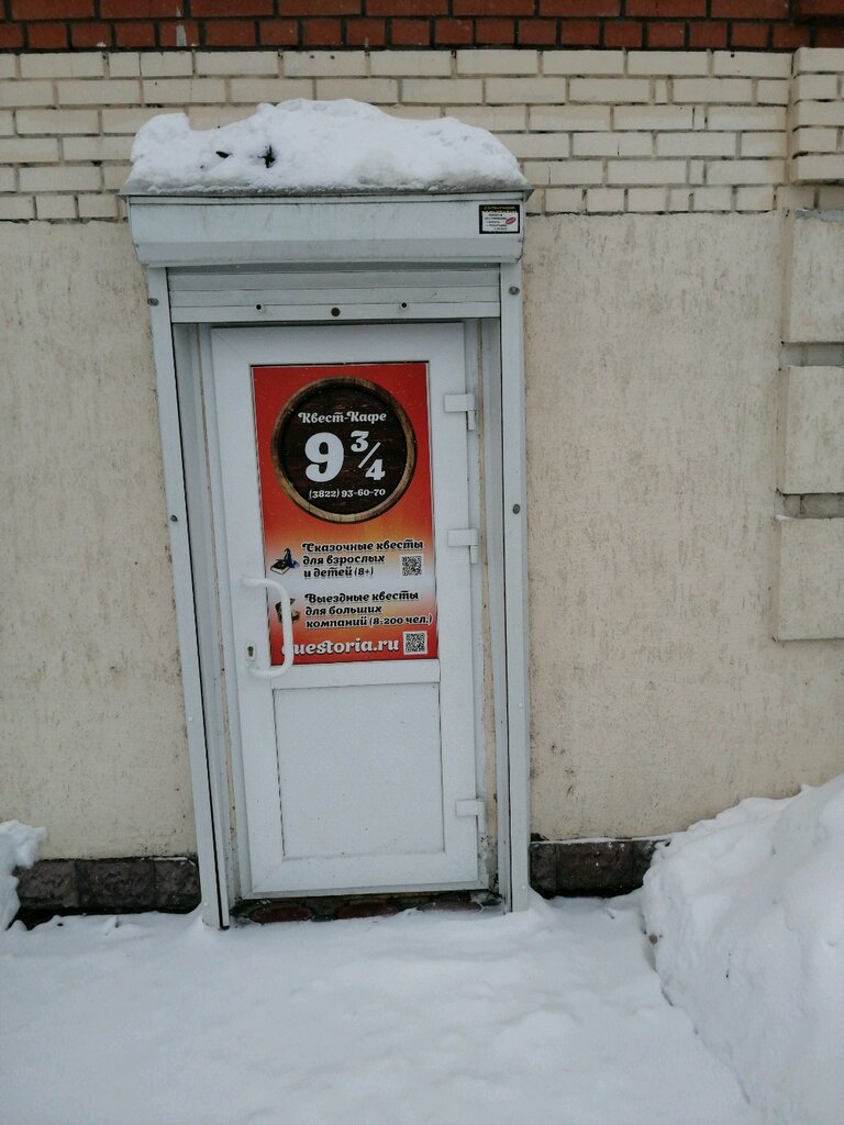 Çocuklar için kutlama organizasyonları Questoria, Tomsk, foto