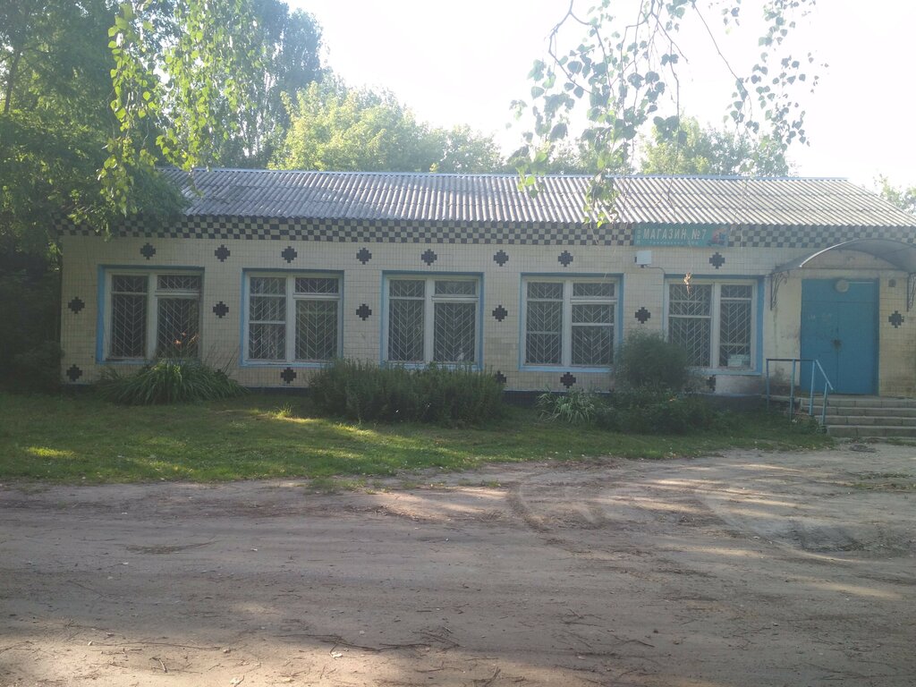 Mini-market Магазин № 7, Brianskaya oblastı, foto