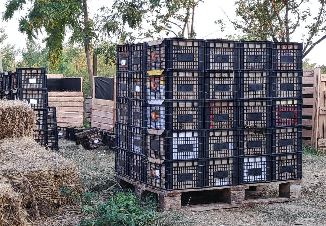 Tarım firmaları Verme Academy, Transdinyester, foto