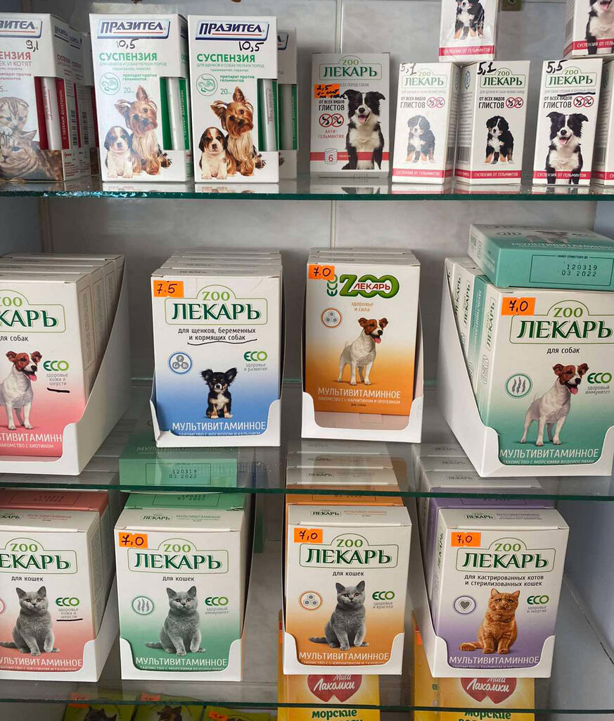 Veteriner klinikleri KoTi, Gomel, foto