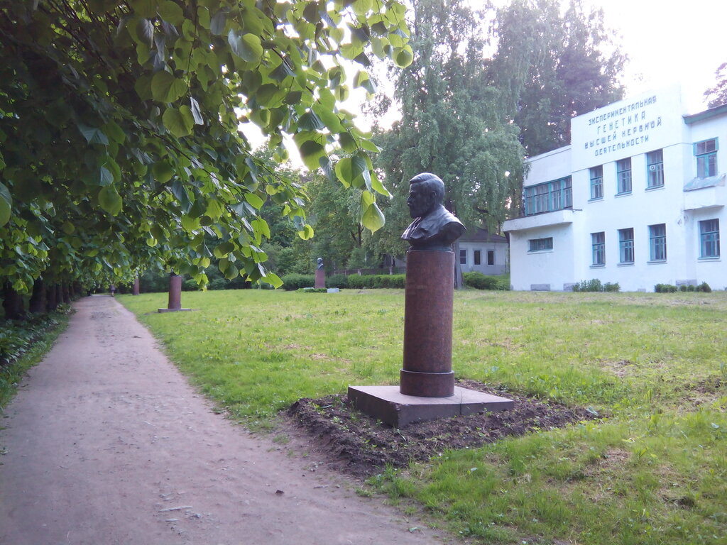 Anıt, heykel И.М. Сеченов, Saint‑Petersburg ve Leningradskaya oblastı, foto